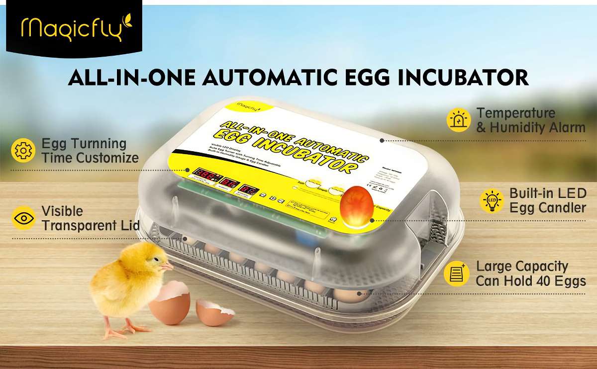 Auto Egg Incubator 40 Egg Hatching with LED Candler, Automatic Turning ...